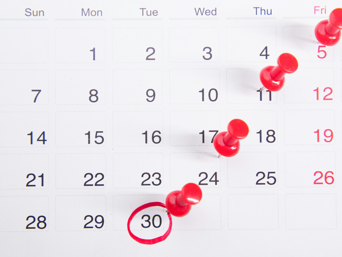 Your Self-Publishing Timeline: What to Expect - Jeniffer Thompson